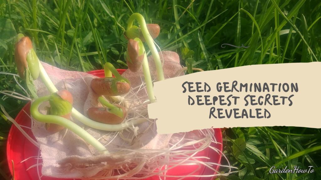 Seed Germination Deepest Secrets Revealed - Garden How To