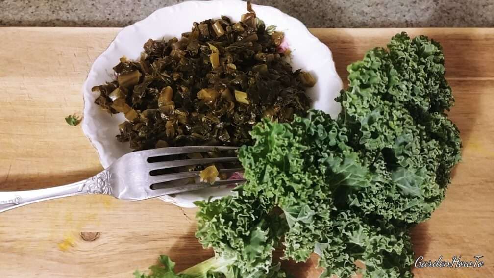 How I Made A Delicious Fermentation With A “Plain Vegetable” – Garden ...